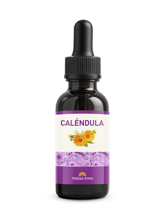 Plant extracts – Salud Teresa Pons